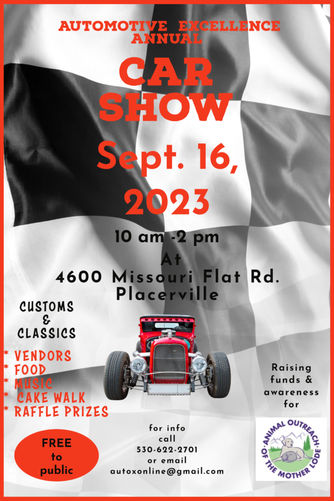 Automotive Excellence Annual Car Show